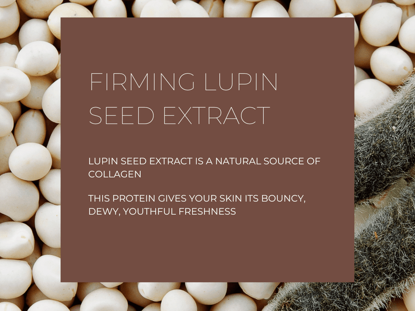 The Power of Oil Soluble Vitamin C – Urthy Scents